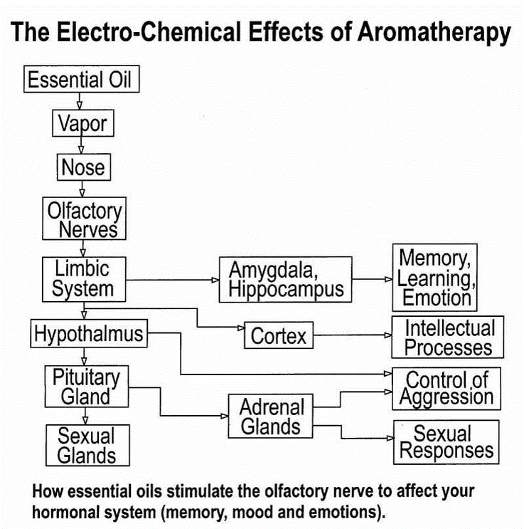 Aromatherapy – Feel N Cure