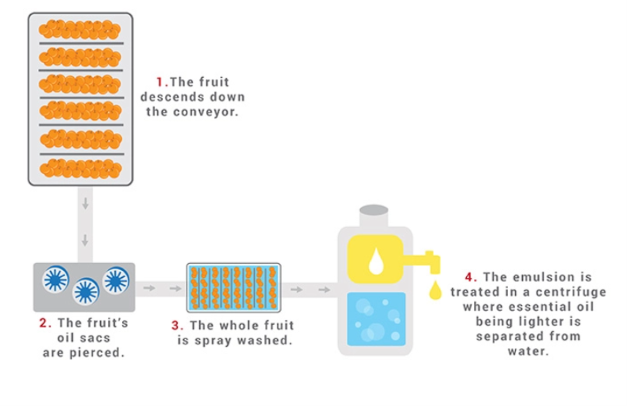 Aromatherapy – Feel N Cure