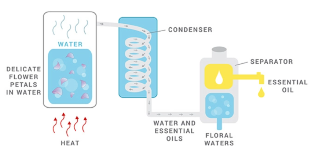 Aromatherapy – Feel N Cure