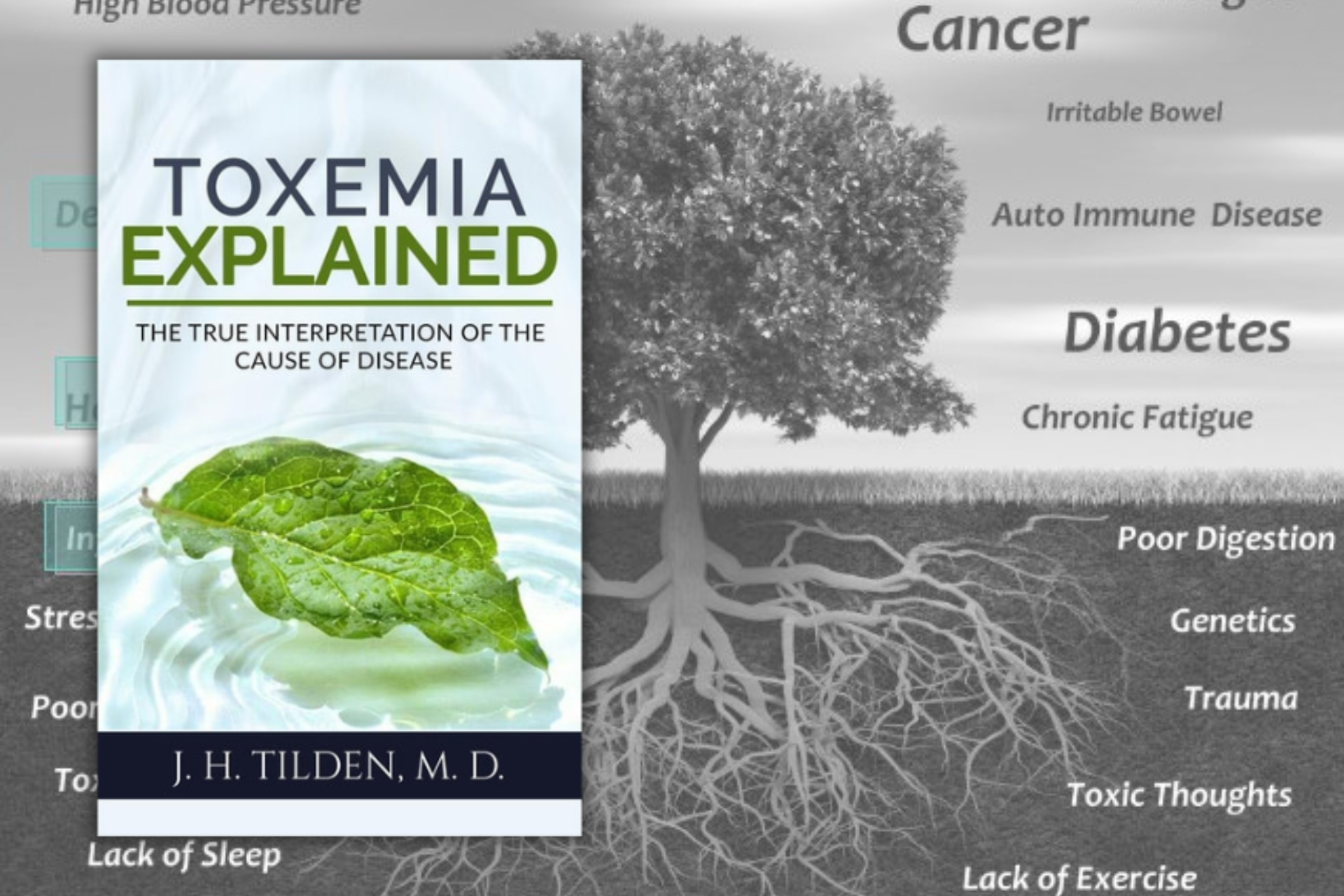 Toxemia: Foreign Matter Theory – Feel N Cure